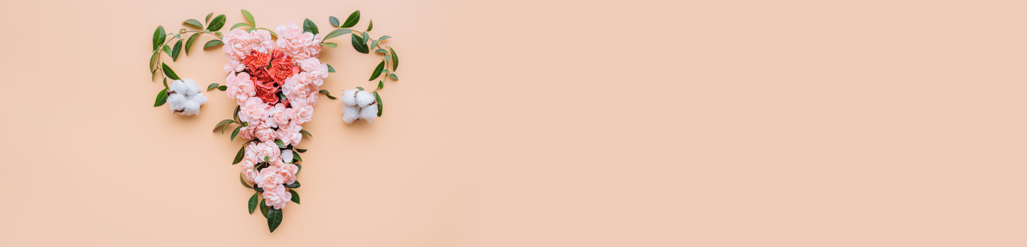 Legal Expert Kim Wehle Breaks Down the Overturning of Roe v. Wade ...